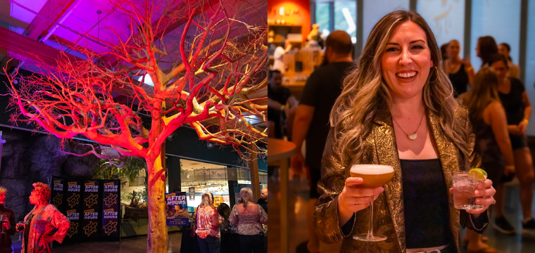 Turtle Bay Exploration Park